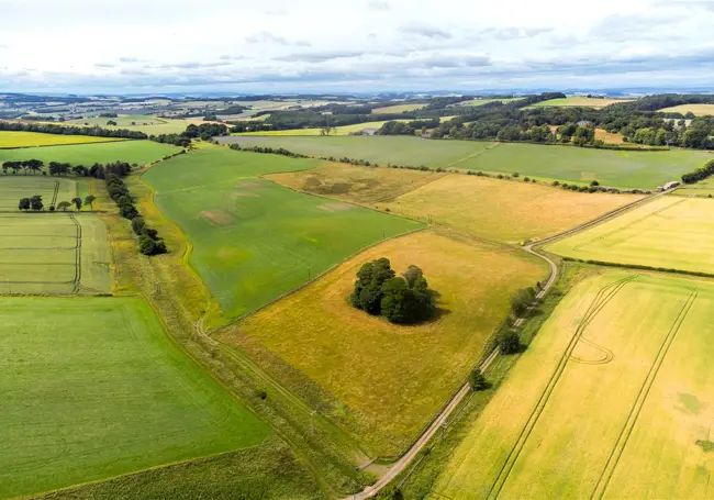 Estates & Farms for Sale in Fife & Kinross | Galbraith