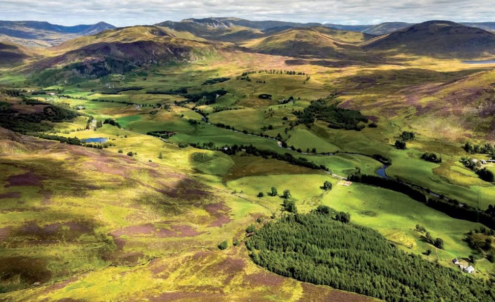 The Blueprint | The Scottish Estates Market | Emma Chalmers | Rod ...