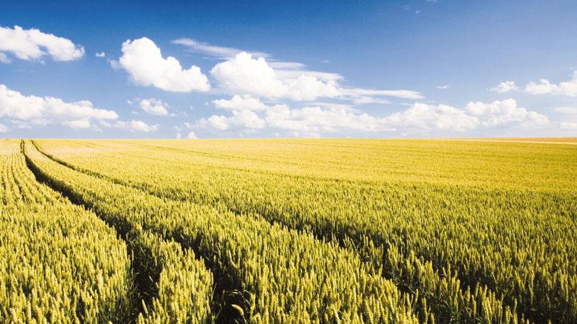 Rural Management Services | Galbraith